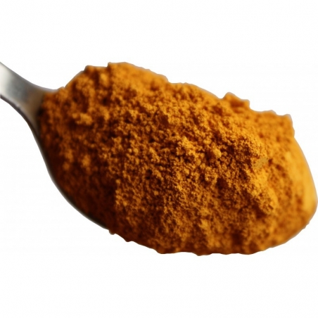 Pigment poudre jaune sahara La malle aux Couleurs | colorants-pigments