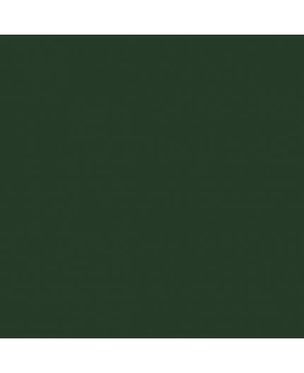peinture aérosol RAL 6009 vert sapin | colorants-pigments.fr