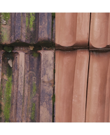 Stop mousses antiverdissure et moisissures Net+Pro | colorants-pigments